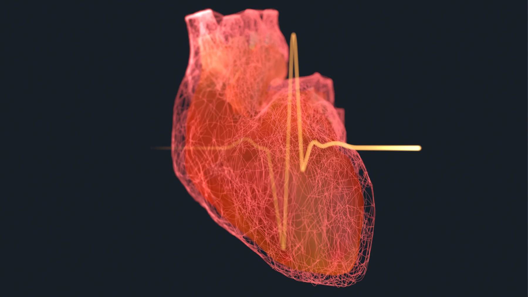 Heart Rhythm Problems: Signs, Causes & Treatment